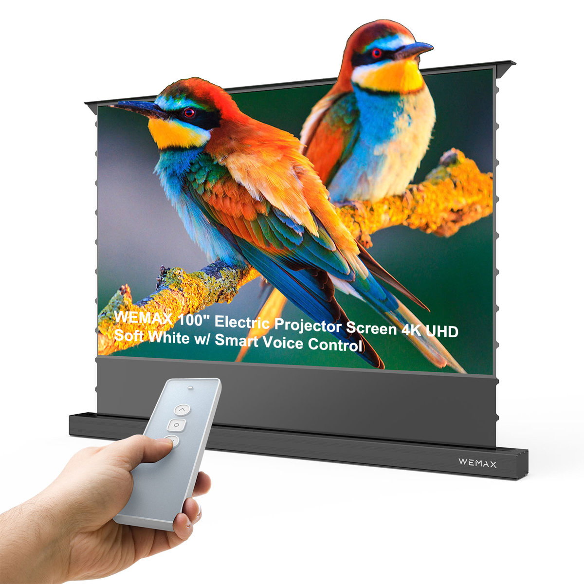 WEMAX Electric Projector Screen w/ Smart Voice Control, 4K UHD 1 Gain Soft White Screen | Wayfair